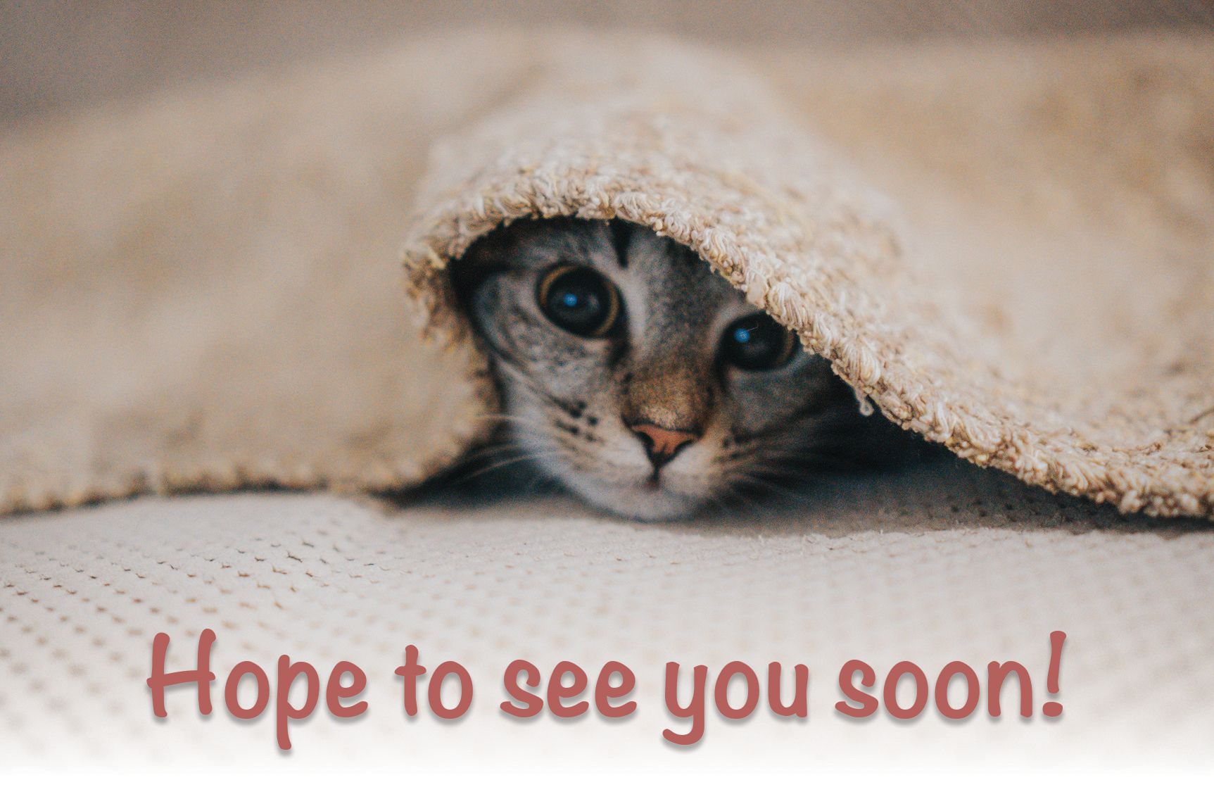Hours Location Ulysses Veterinary Hospital Hours Location Ulysses Veterinary Hospital